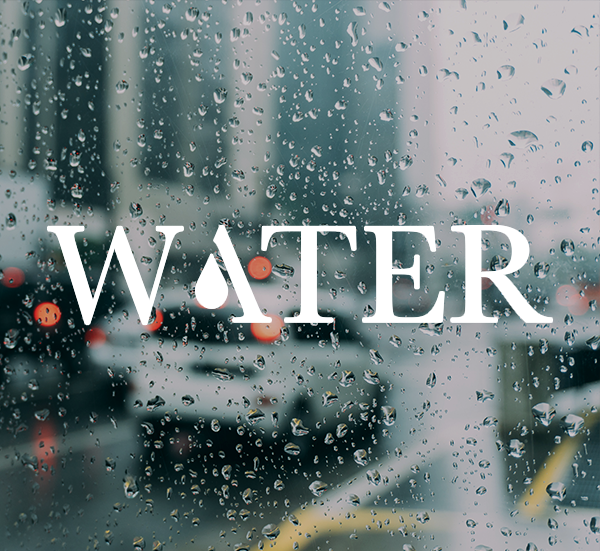 WATER Limited Edition Sticker Decal – Water Watch Company
